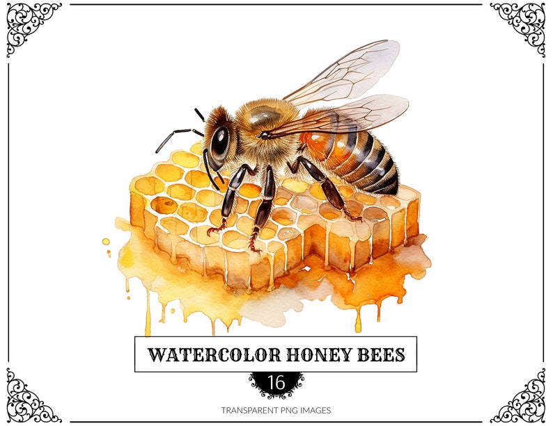 Watercolor Honey Bee Clipart, Spring Garden Bee and Honey Drips Clip ...
