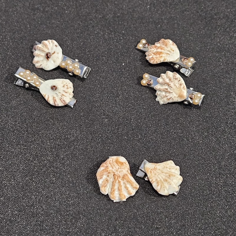 Seashell Hair Clip - Etsy