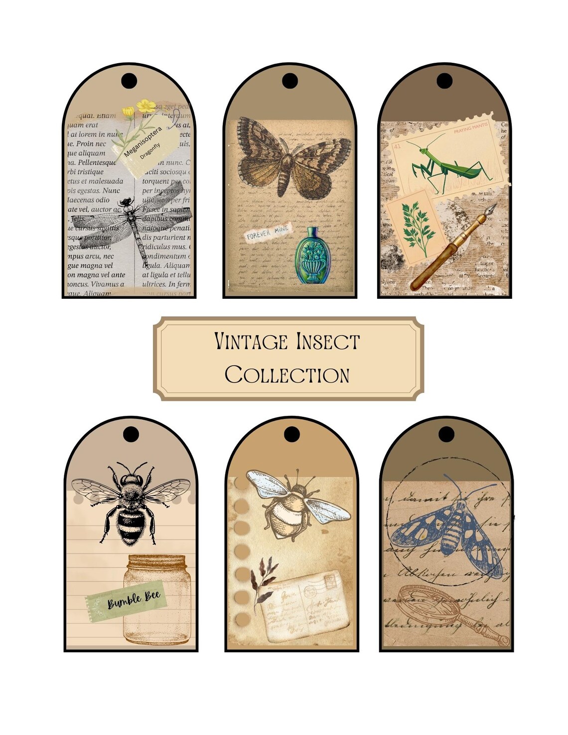 Digital Vintage Insect Collection Tags, Printable Gift Tags, Junk ...