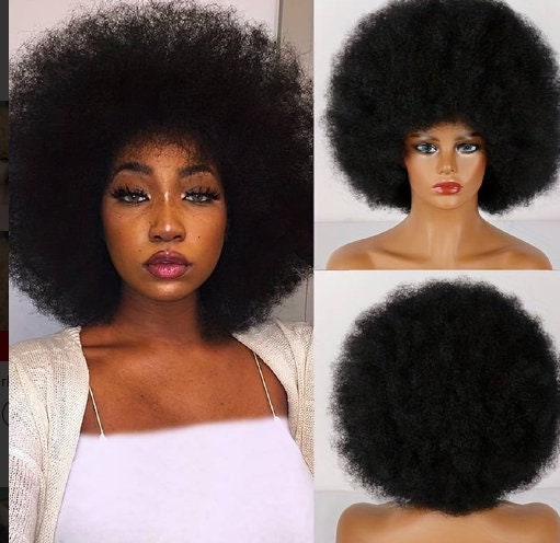 Human Hair Afro Wig, Natural Hair Wig for Black Women, Light Wig, Free ...