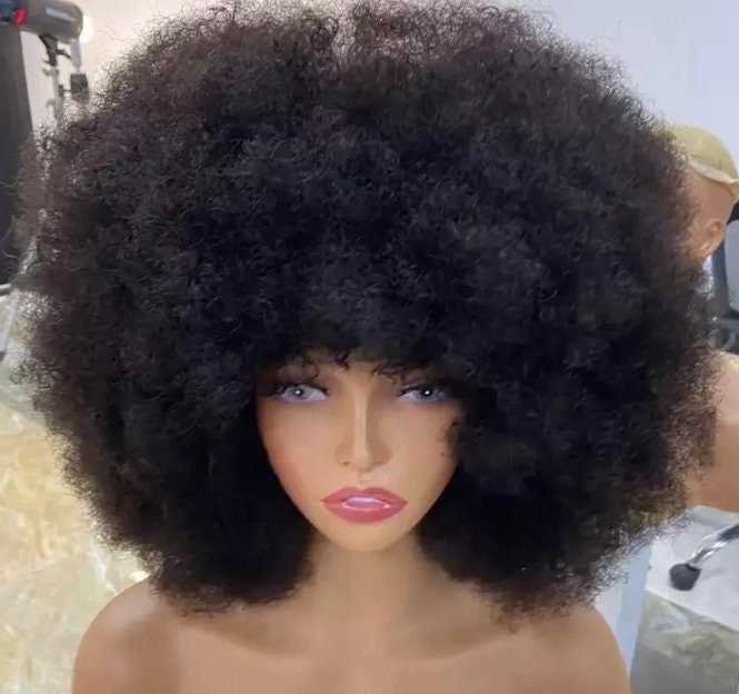 Human Hair Afro Wig, Natural Hair Wig for Black Women, Light Wig, Free ...