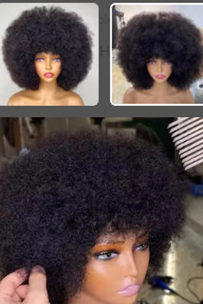 Human Hair Afro Wig, Natural Hair Wig for Black Women, Light Wig, Free ...