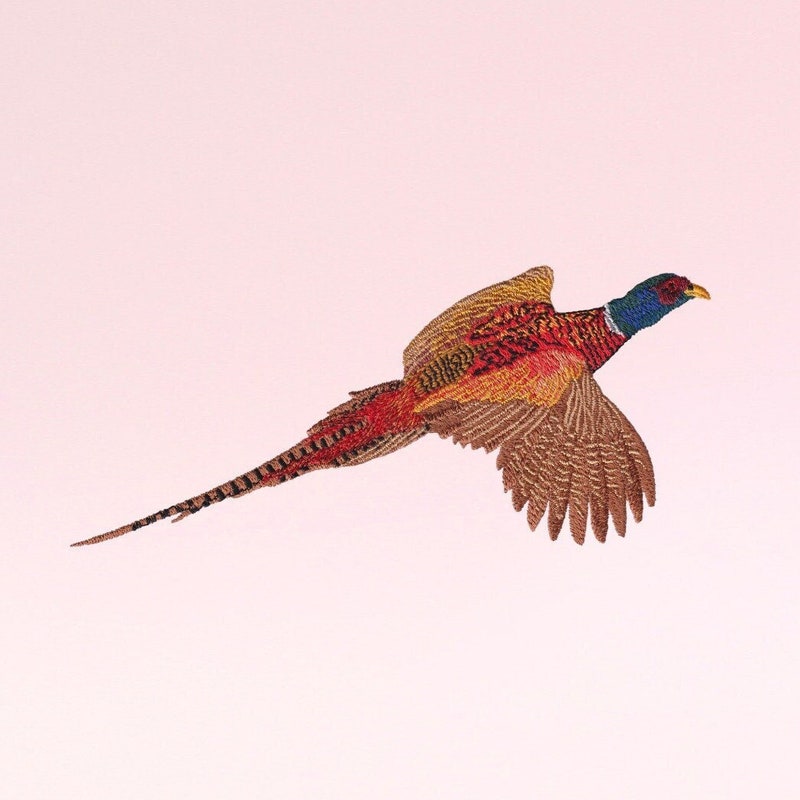 Embroidery File Pheasant - Etsy UK
