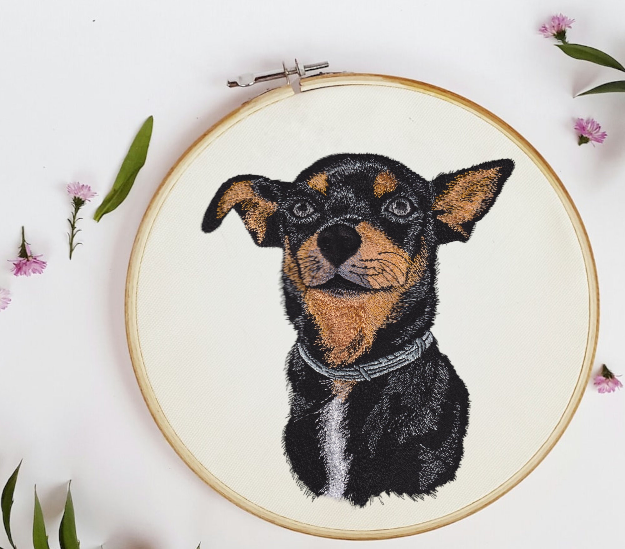 Miniature Pinscher Dog - Animal and Pets Embroidery - Machine ...