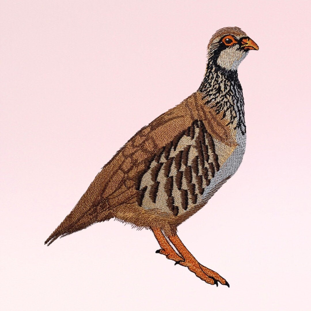 Partridge - Bird Embroidery - Machine Embroidery - Digital Designs ...