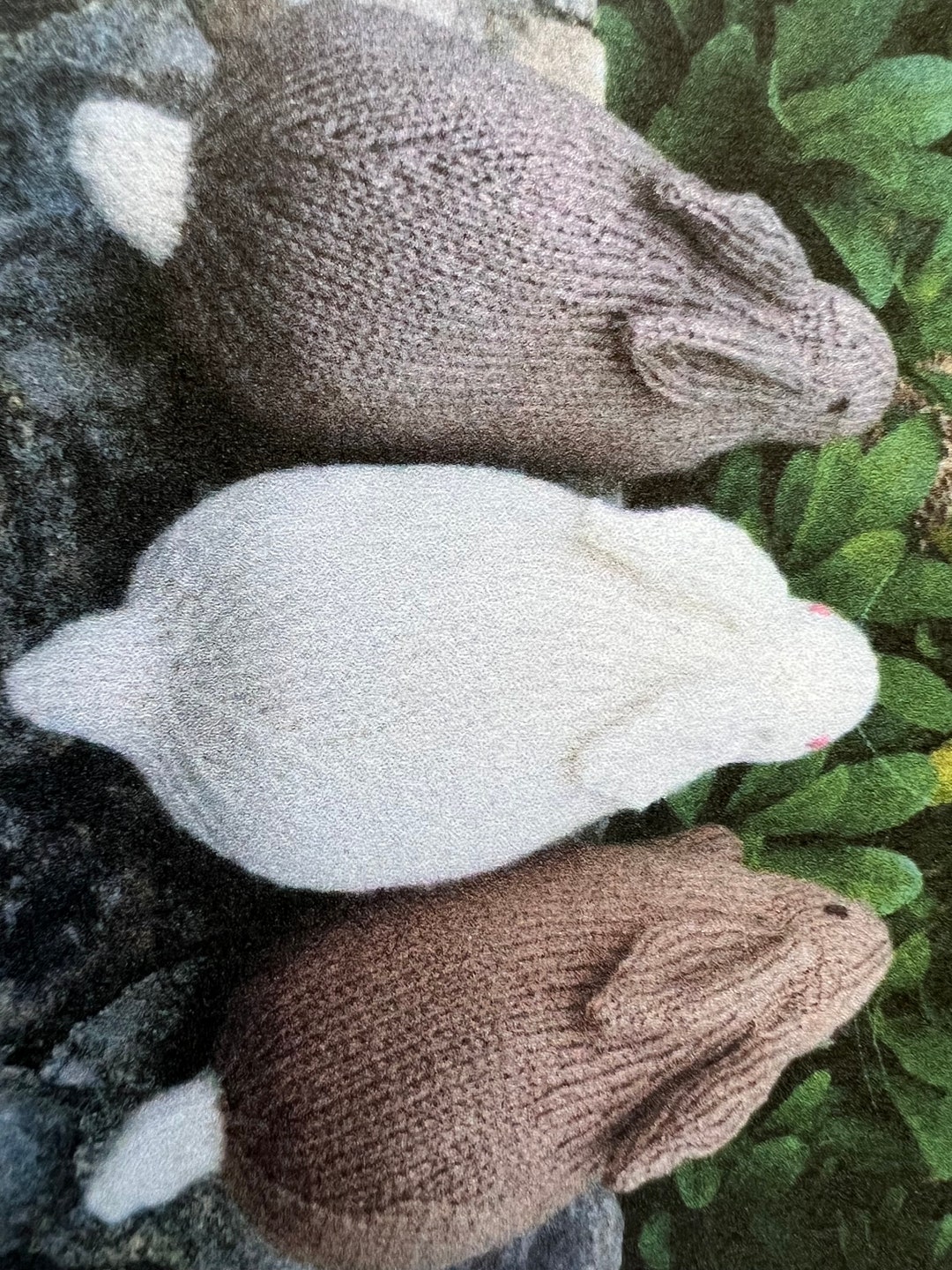 Rabbit, Bunny Soft Toy Knitting Pattern - Etsy