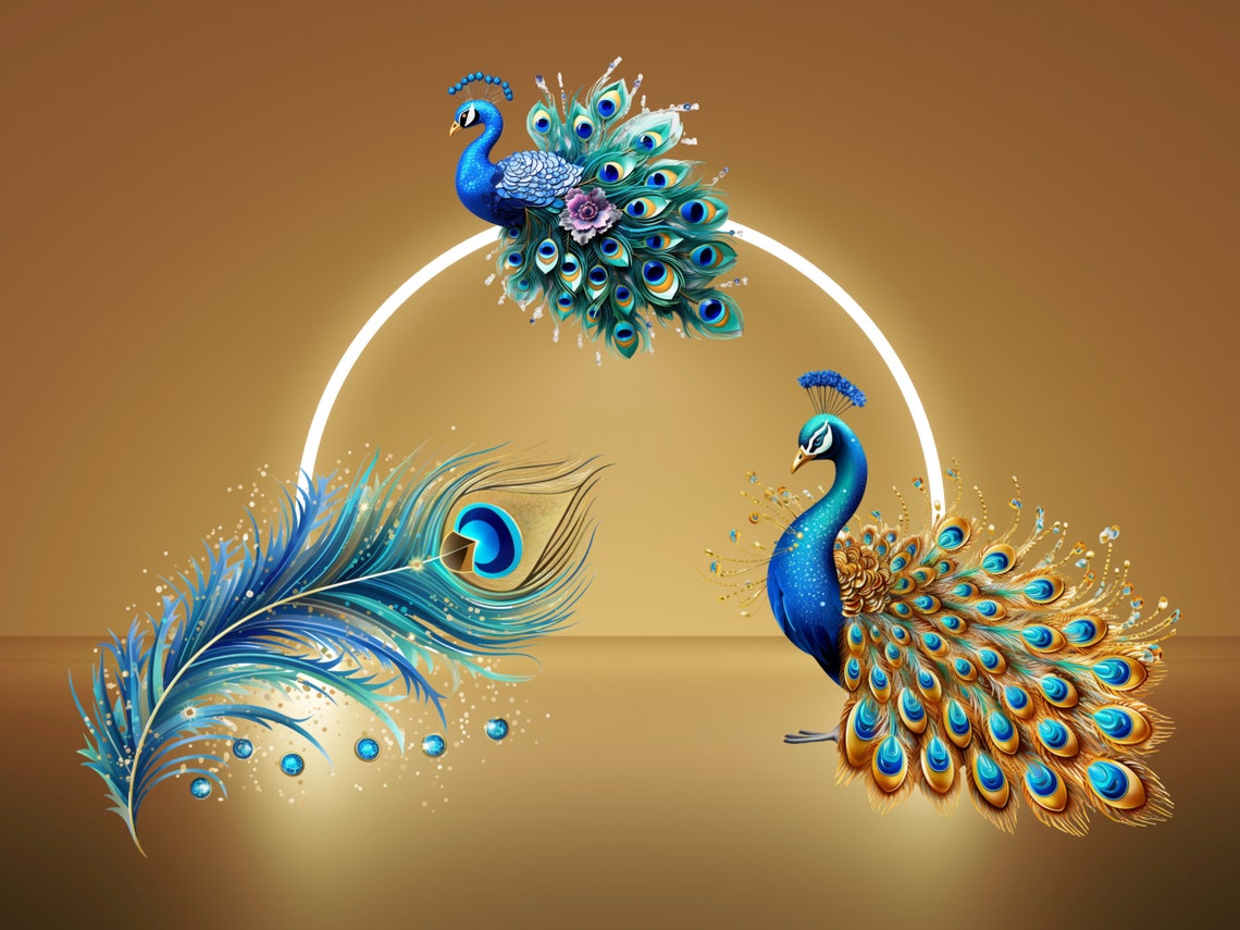 Peacock Clip Art. Peacock Feather, Glitter Peacock PNG Commercial Use ...
