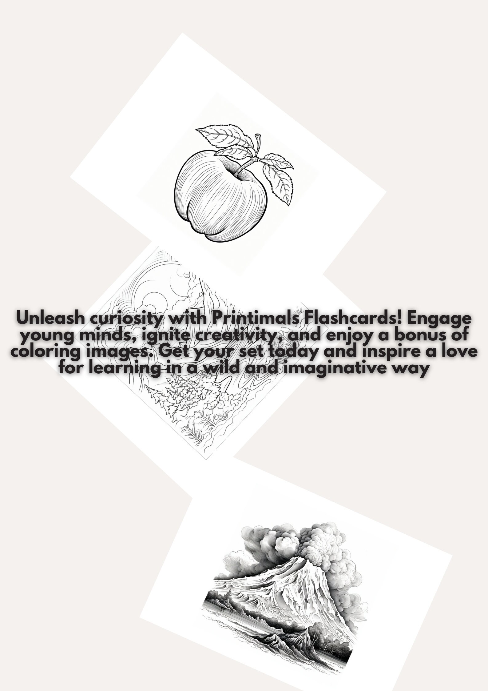 Explore and Learn With Wild Wonders: Animal Flashcards Pack, Including ...