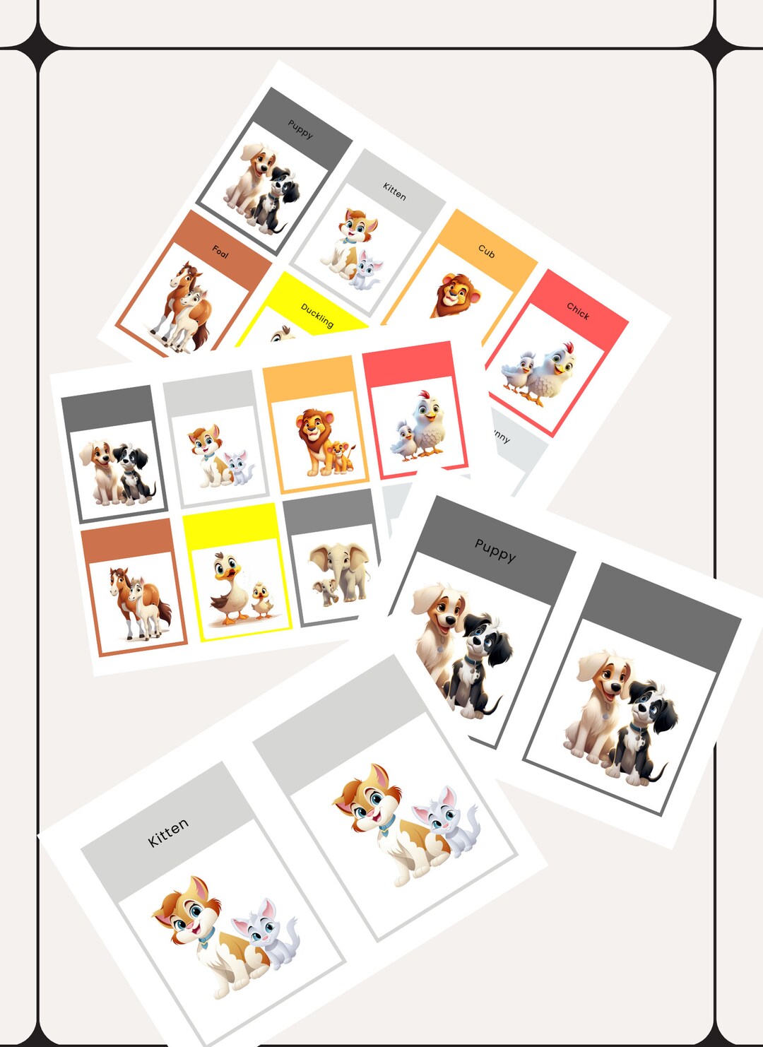 Explore and Learn With Wild Wonders: Animal Flashcards Pack, Including ...