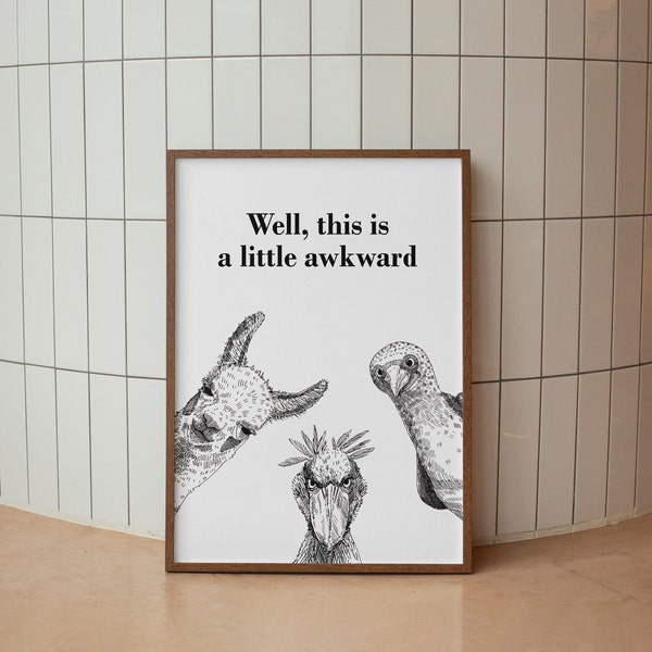 Booby Bird Wall Art - Etsy