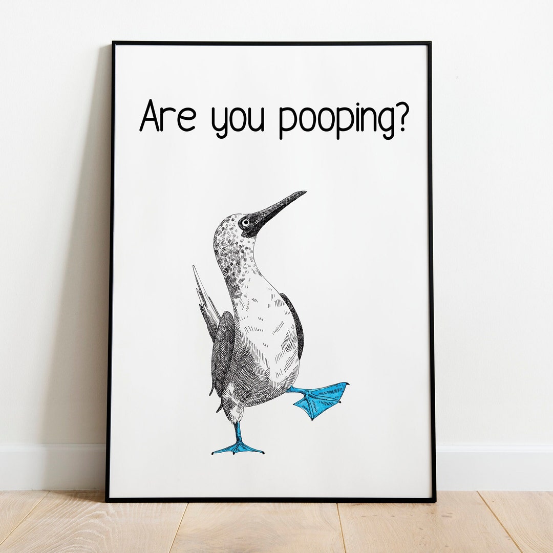 Curious Blue-footed Booby Bathroom Wall Art | Are You Pooping | Digital ...