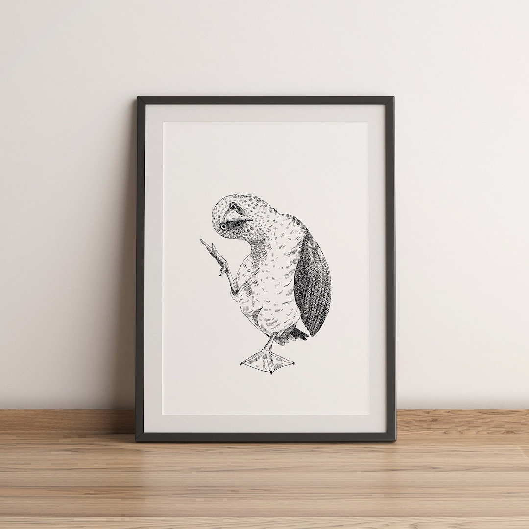 Funny Dancing Blue-footed Booby Drawing, Printable Download, Black ...