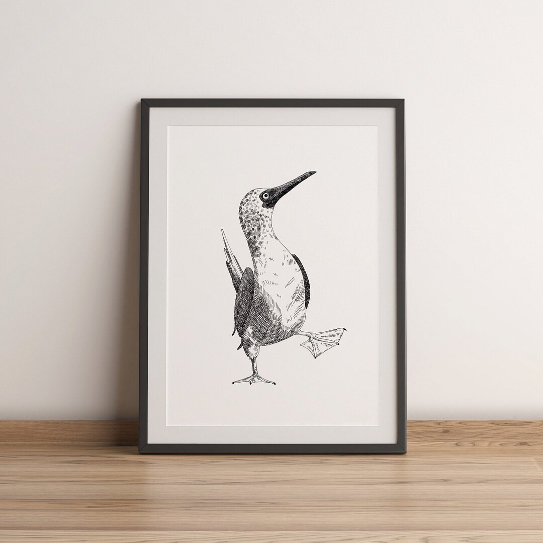 Dancing Blue-footed Booby Wall Art, Digital Download Black & White ...