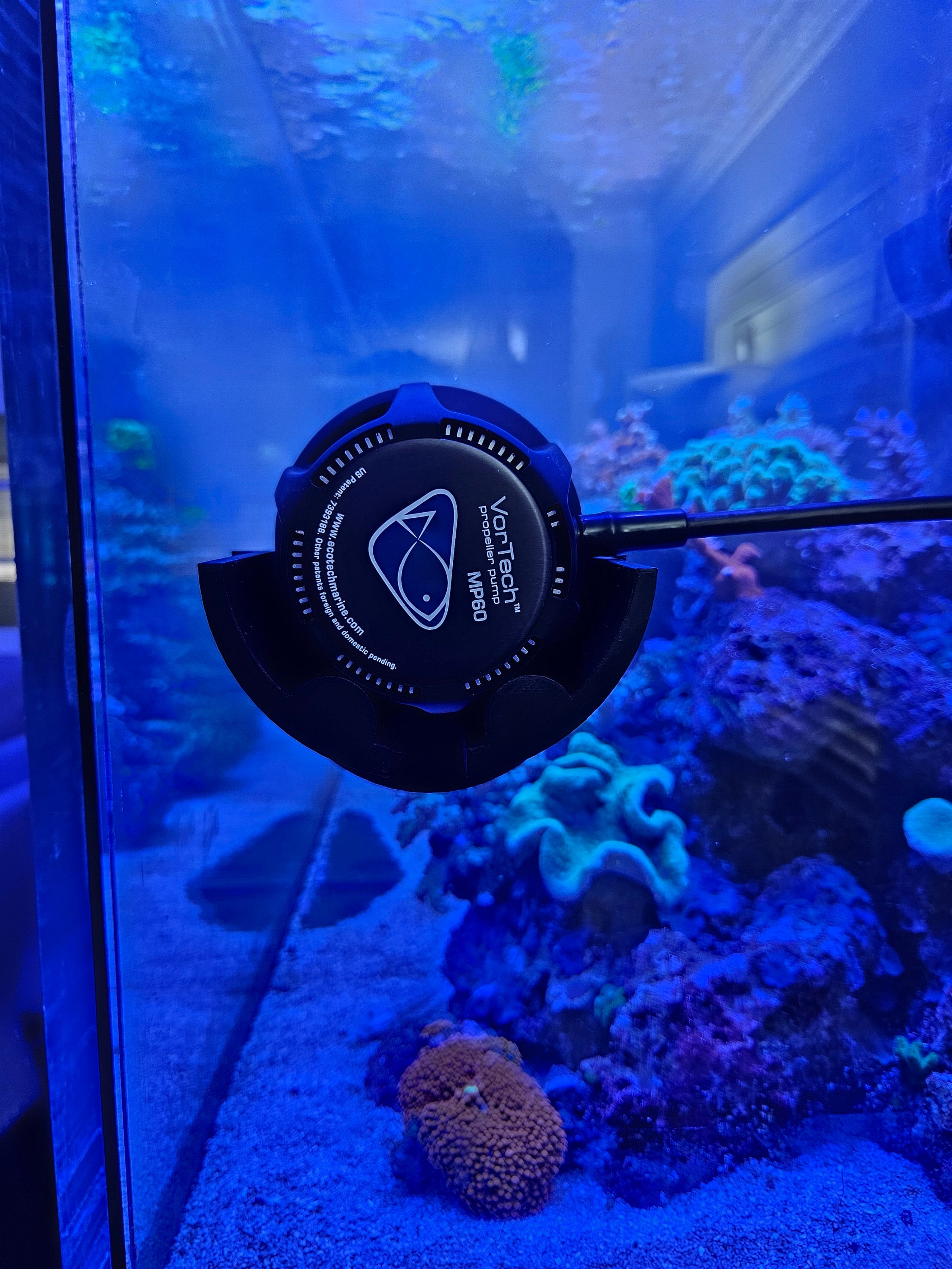 Ecotech Marine Vortech MP60 3D Printed Dry Side Support Mount - Etsy