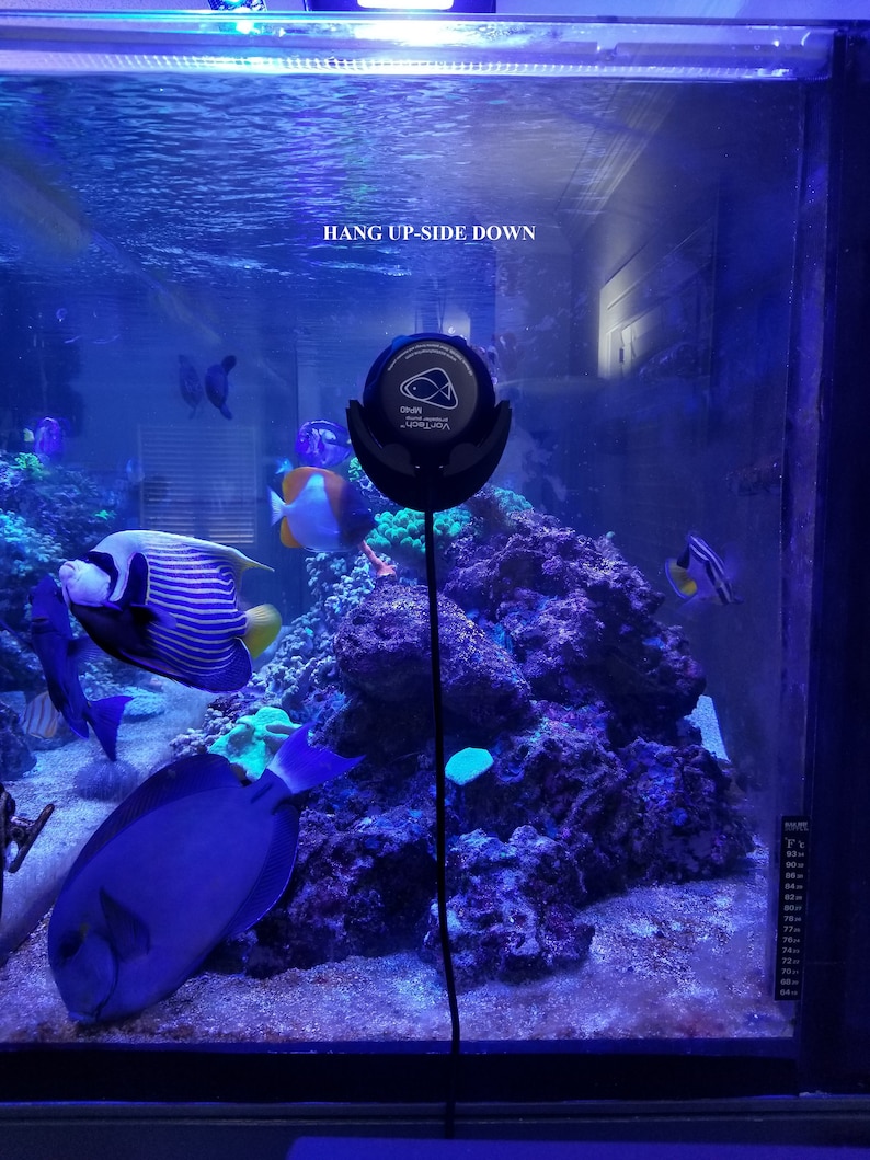 Ecotech Marine Vortech MP40 3D Printed Dry Side Support Mount - Etsy