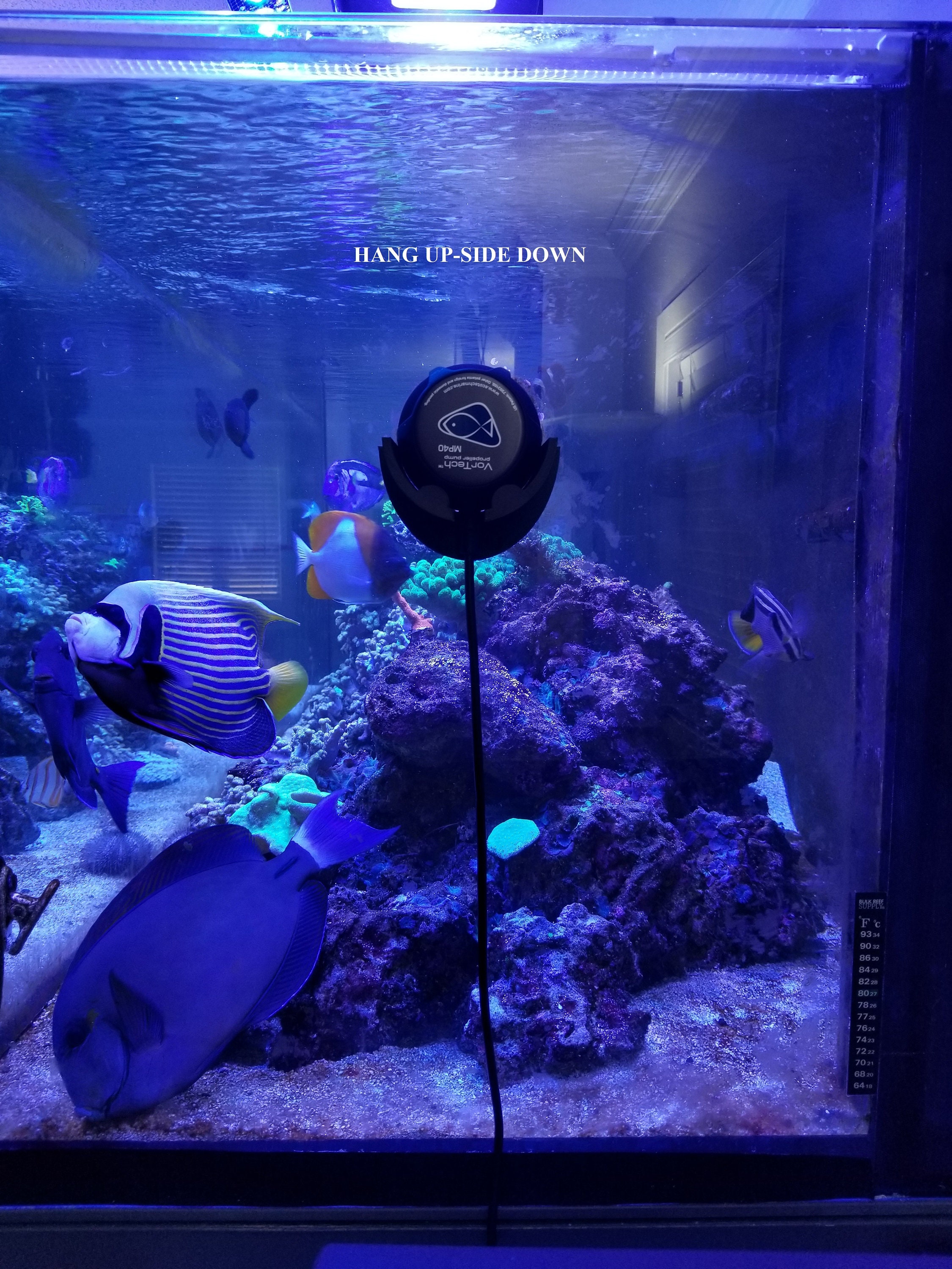 Ecotech Marine Vortech MP40 3D Printed Dry Side Support Mount - Etsy