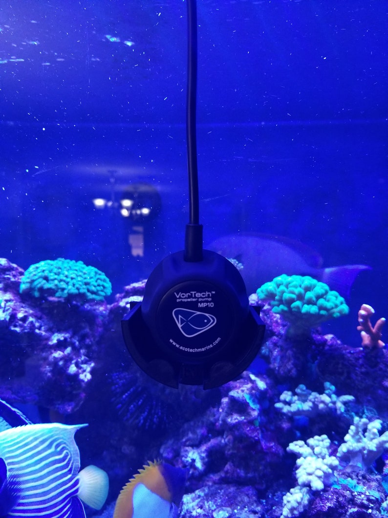 Ecotech Marine Vortech MP10 3D Printed Dry Side Support Mount - Etsy