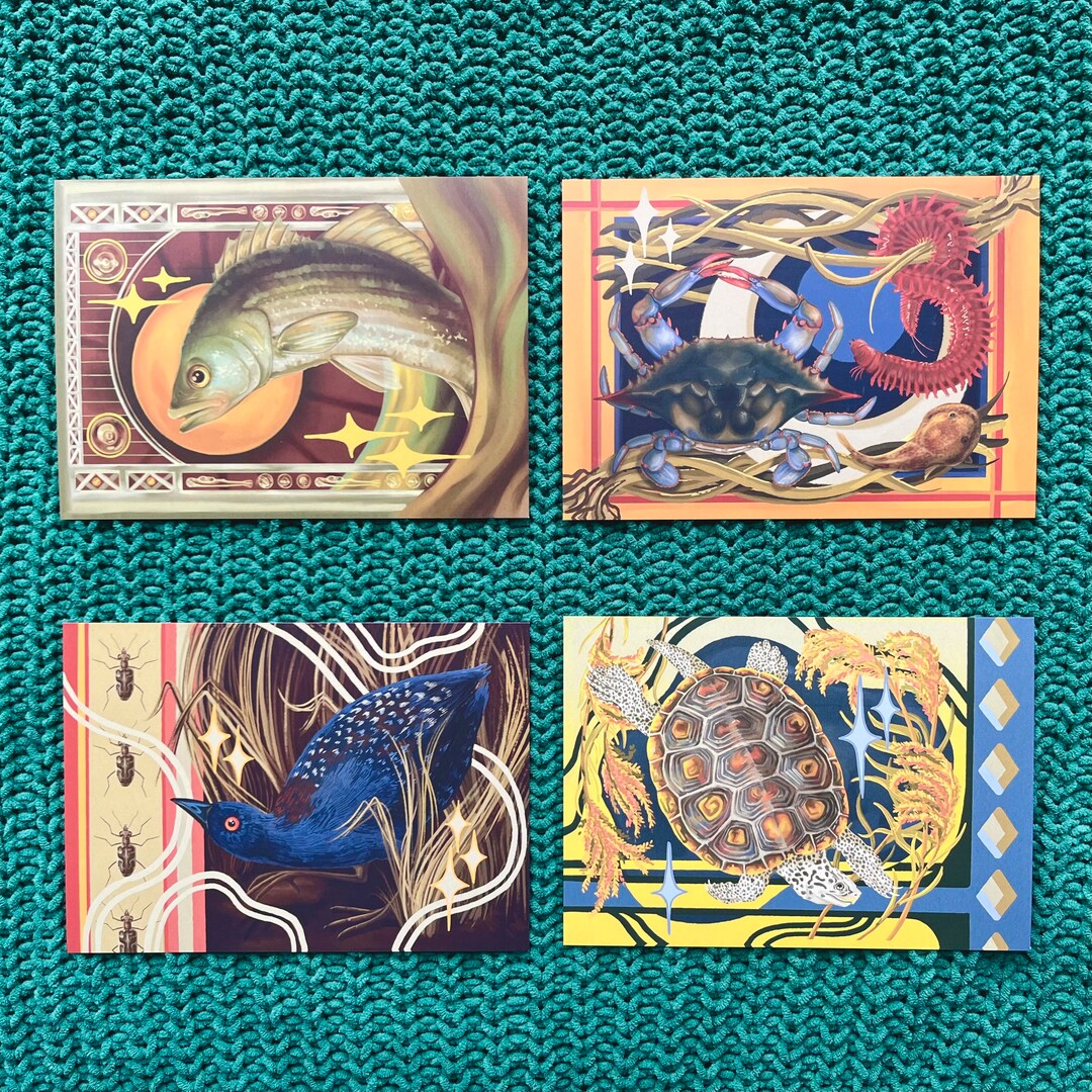 Chesapeake Bay Creatures Postcards - Etsy