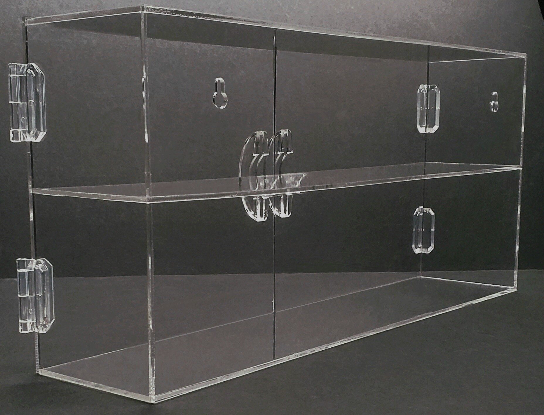 T'z Tagz Clear Acrylic Display Case 2 Shelf Wall Mount or Countertop ...