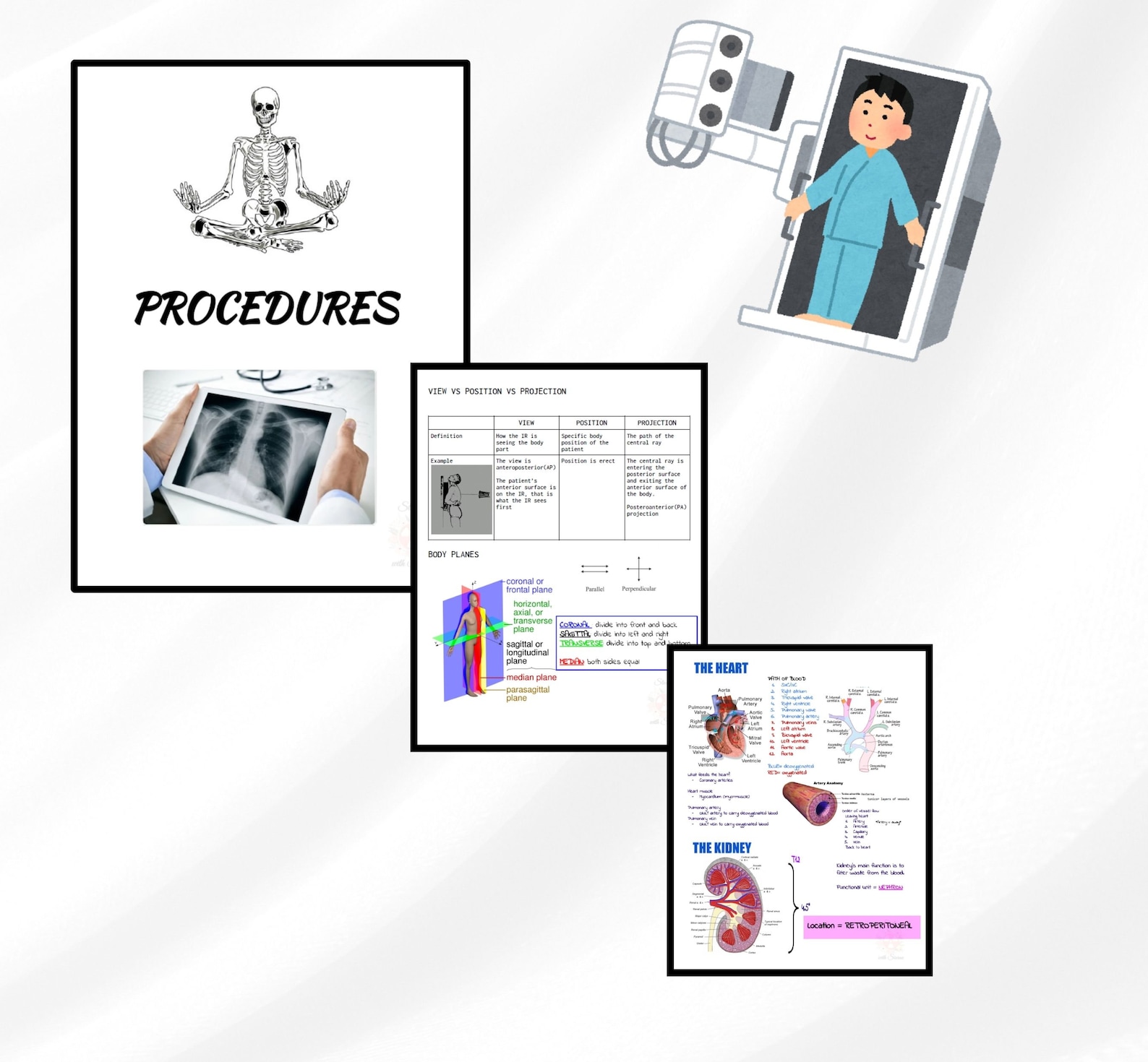 X-ray Radiography PROCEDURES/ANATOMY Boards Exam Study Guide| Digital ...
