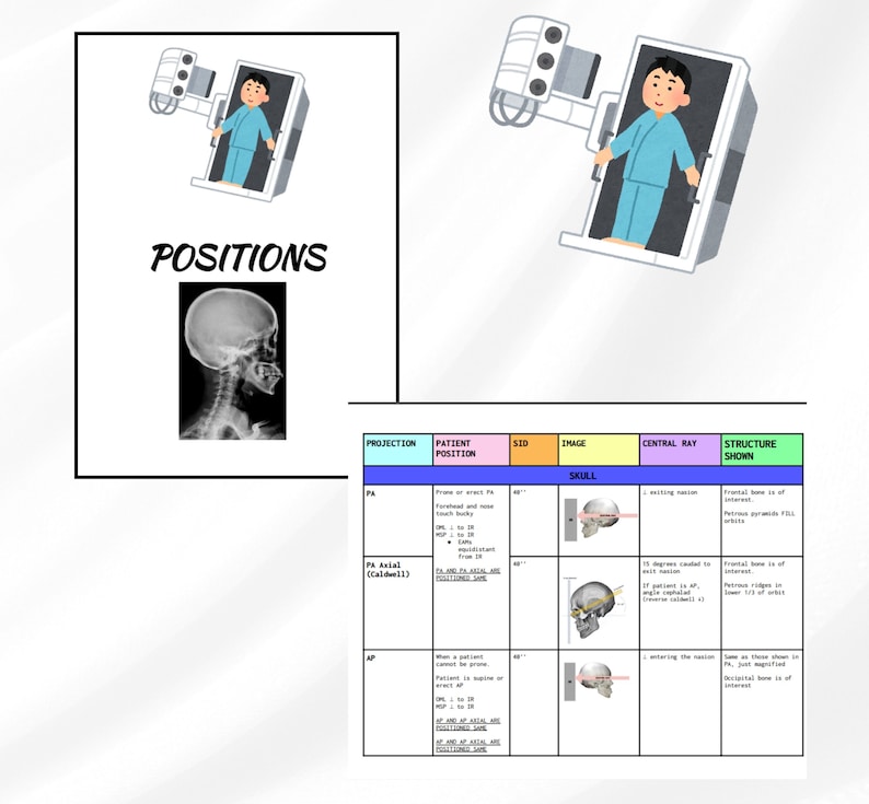 X-ray Radiography POSITIONING Boards Exam Study Guide| Digital Download ...