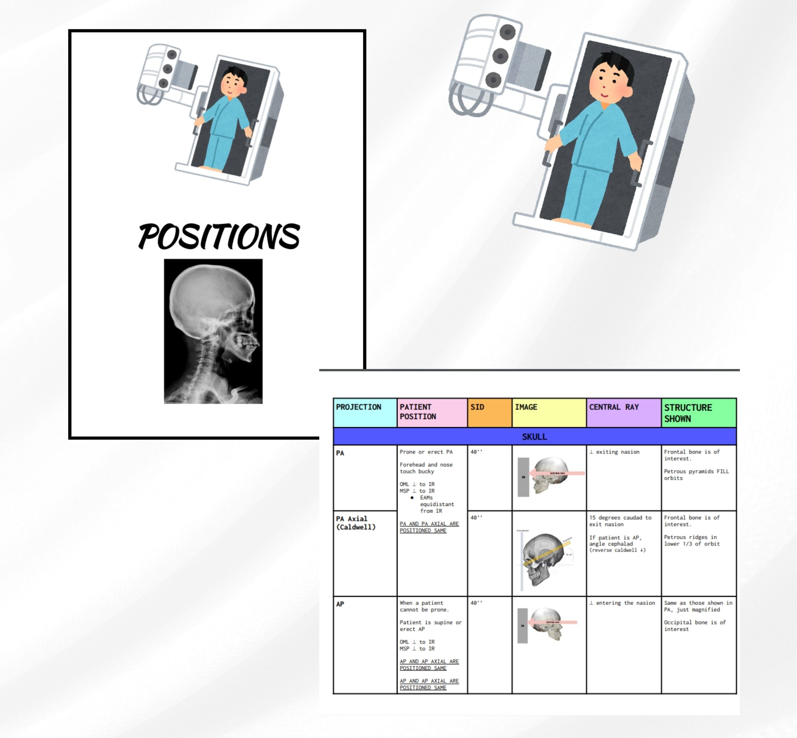 X-ray Radiography POSITIONING Boards Exam Study Guide| Digital Download ...