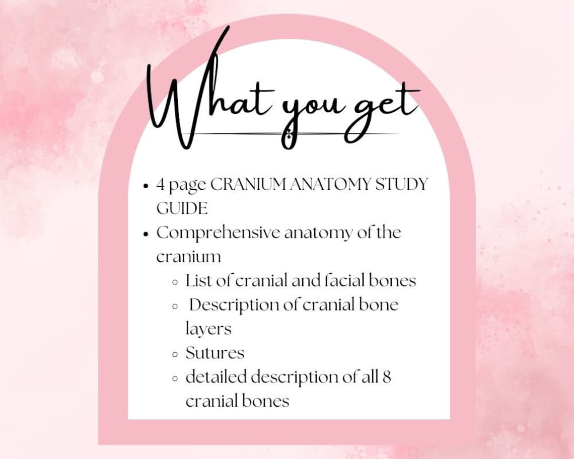 Skull Anatomy Study Guide, Cranium Facial Bones Study Guide ...