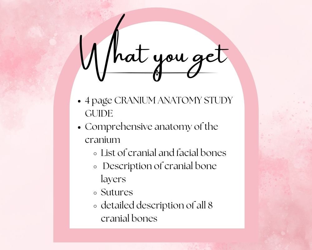 Skull Anatomy Study Guide, Cranium Facial Bones Study Guide ...