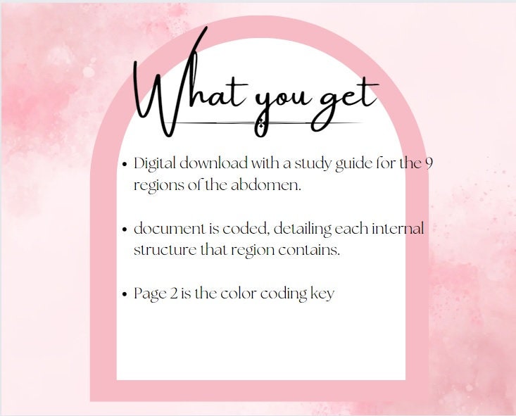 9 Regions of the Abdomen Study Guide COLOR CODED Xray - Etsy