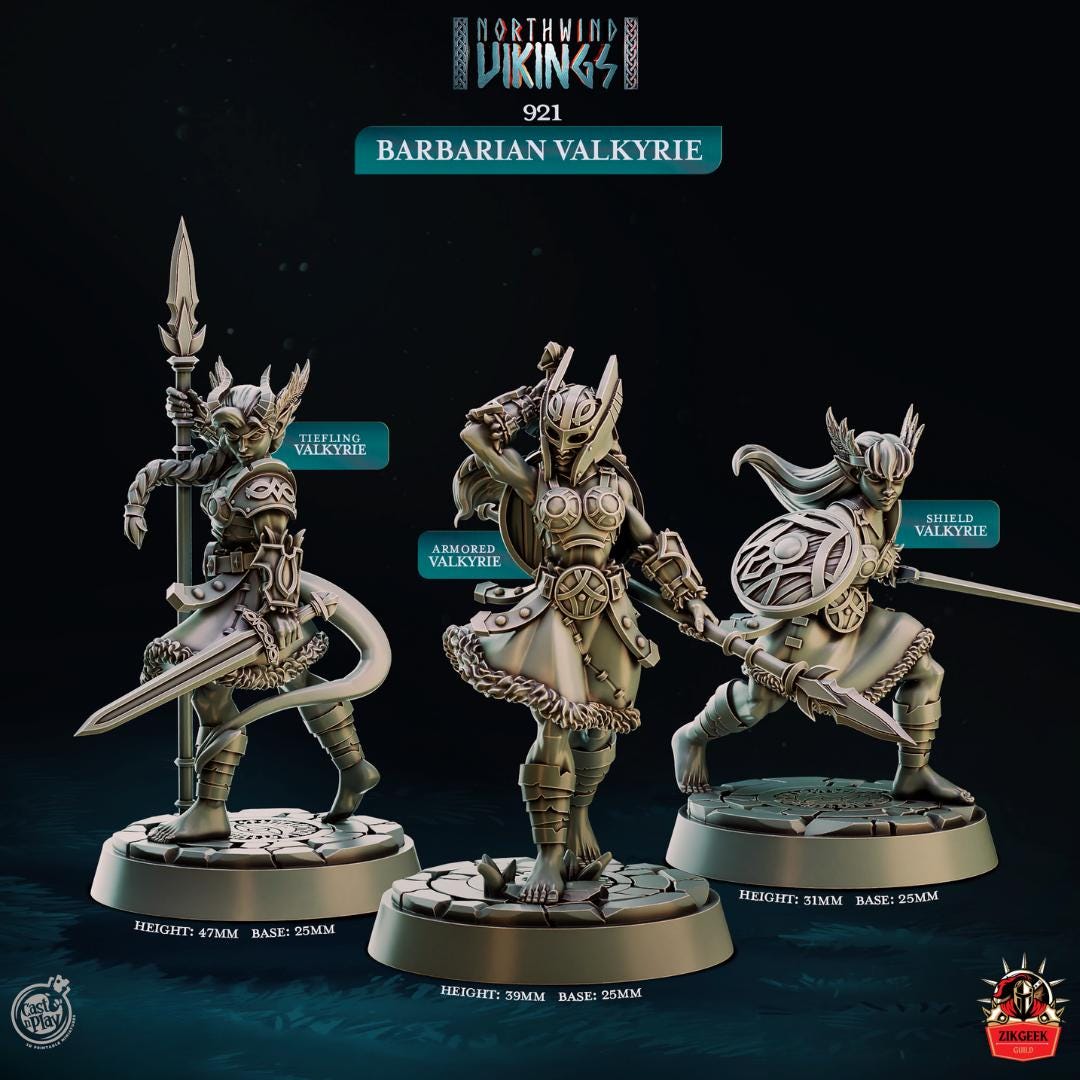 Female Valkyries Miniatures: 28/32/38mm Fantasy RPG Mini for Dnd, TTRPG ...
