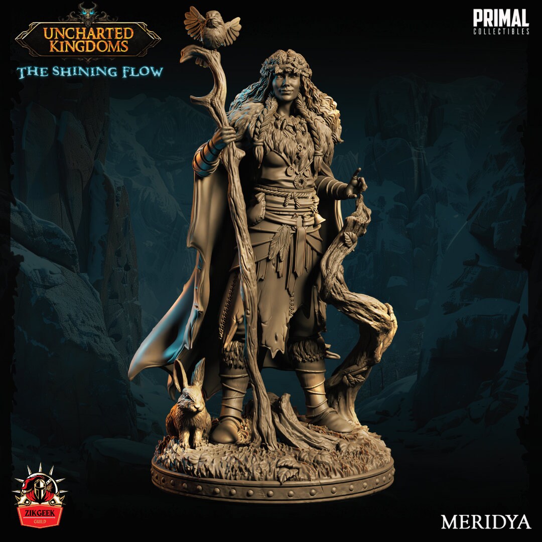 Female Druid Miniature: 28/32/38mm Fantasy RPG Mini for Dnd, TTRPG - Etsy
