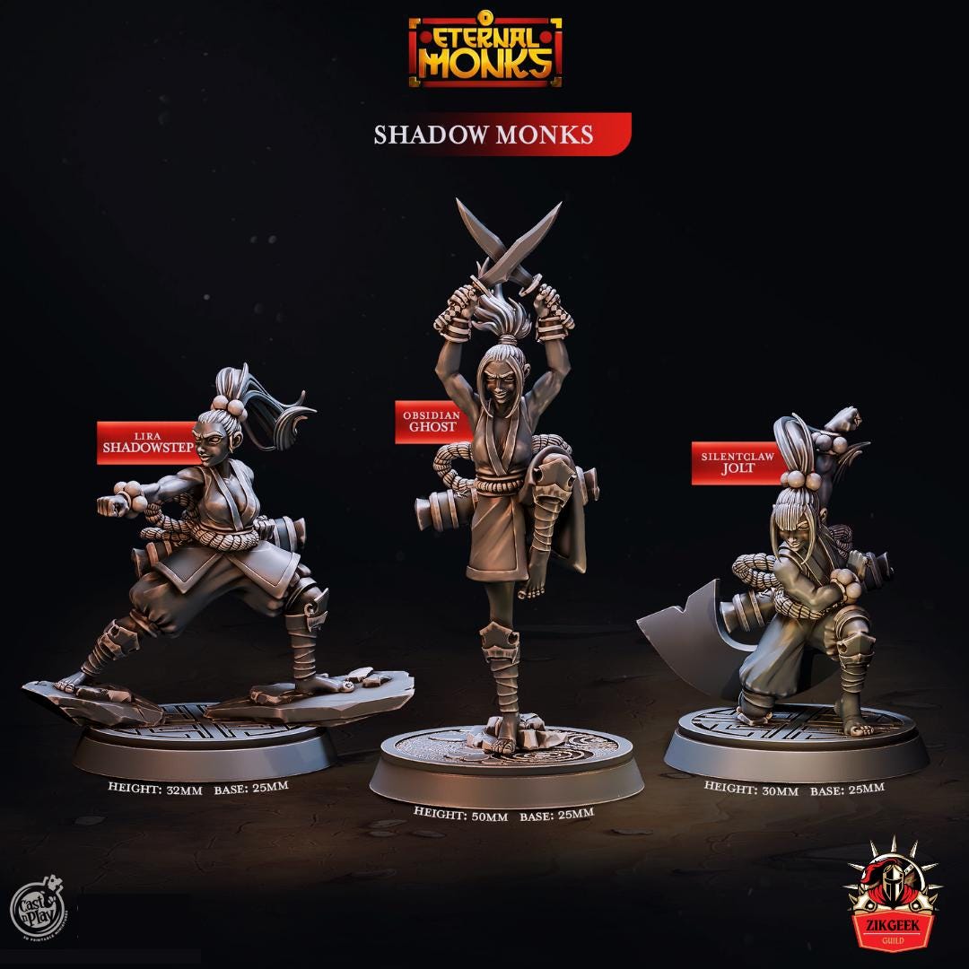 Female Shadow Monks Warrior Fighter Rogue Miniature Dungeons and ...