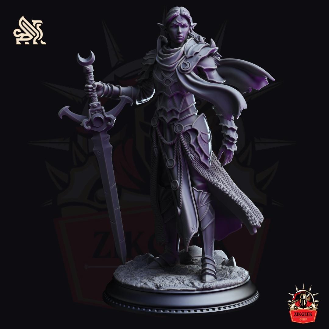 Elf Drow Paladin Miniature: 28/32/38mm Fantasy RPG Mini for Dnd, TTRPG ...