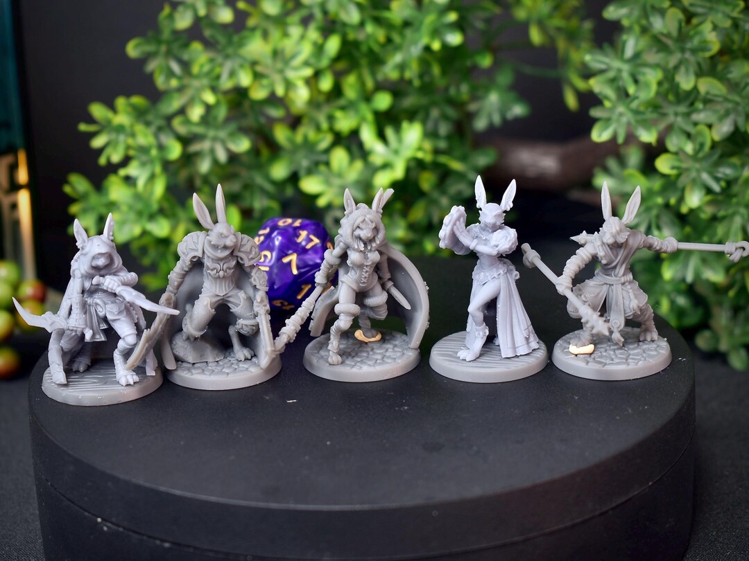 Rabbitfolk Heros X5 Miniatures Set: 28/32/38mm Fantasy RPG Mini for Dnd ...