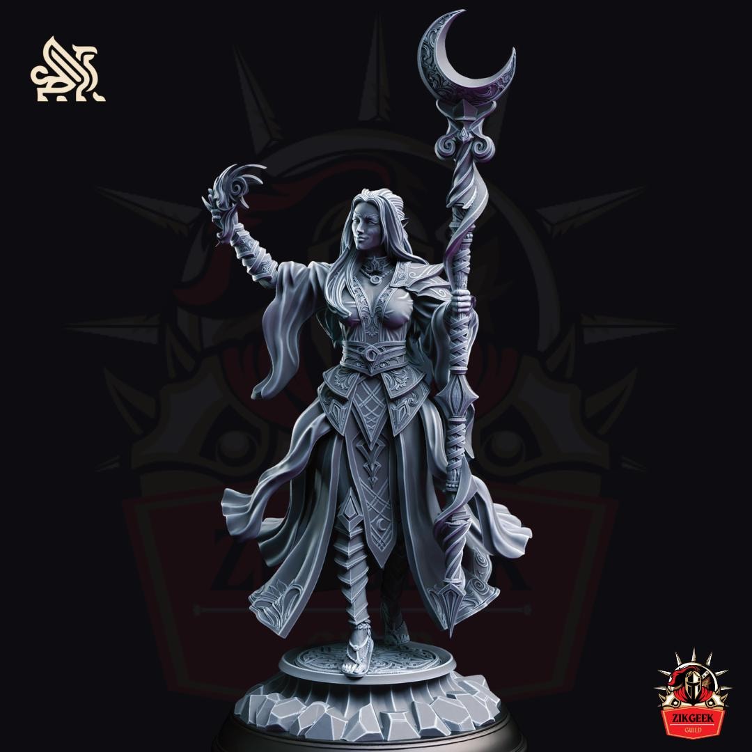 Drow High Priestess Cleric Dnd Miniature Dungeons and Dragons Mini Hero ...