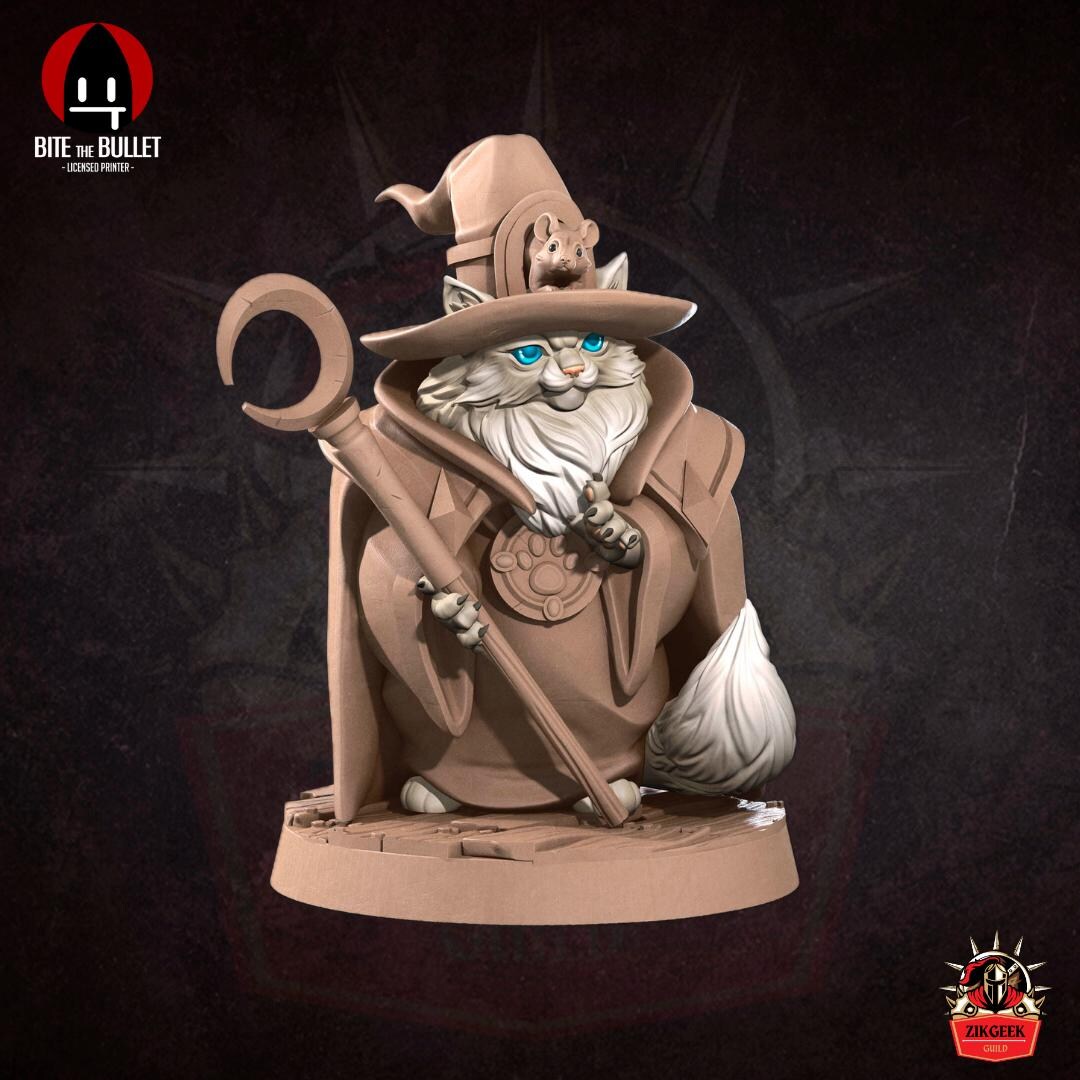 Tabaxi Catfolk Wizard, Sorcerer: 28/32/38mm Fantasy RPG Miniature for ...