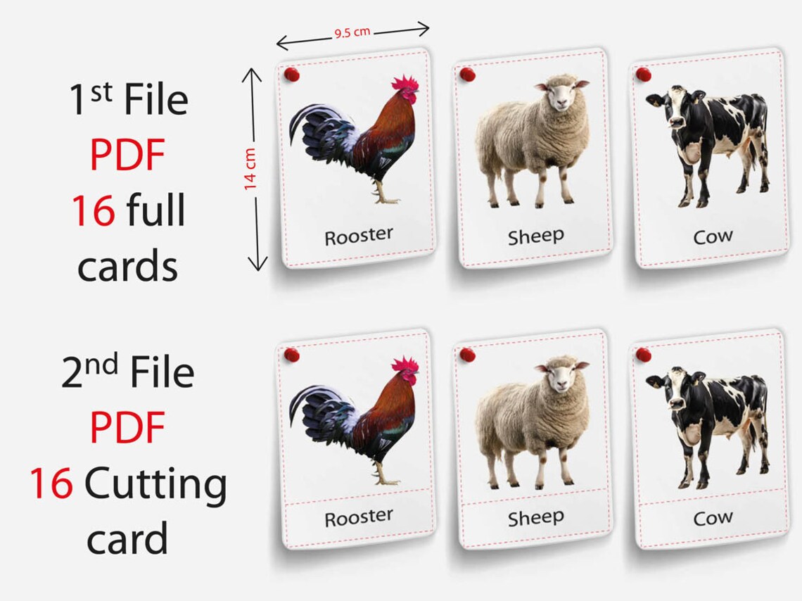 32 Flashcards for Names of Farm Animals real Pictures, 16x2 Montessori ...