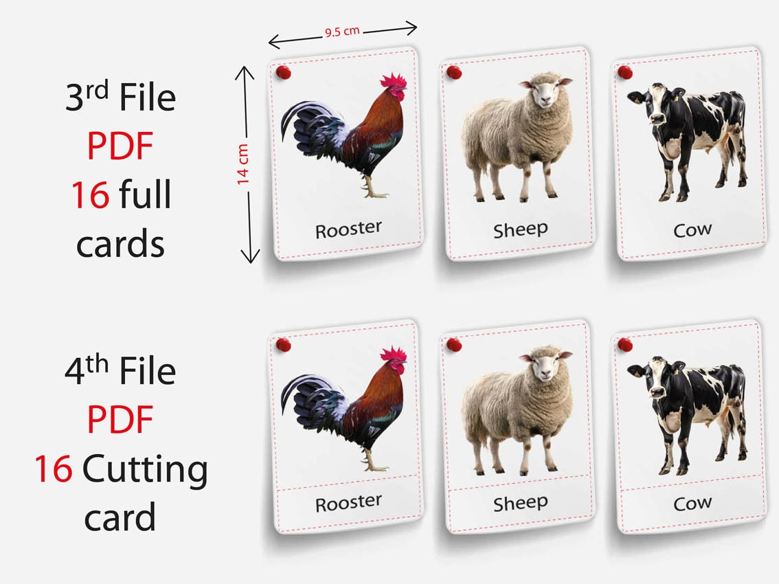 64 Flashcards for Arabic/english Names of Farm Animals real - Etsy