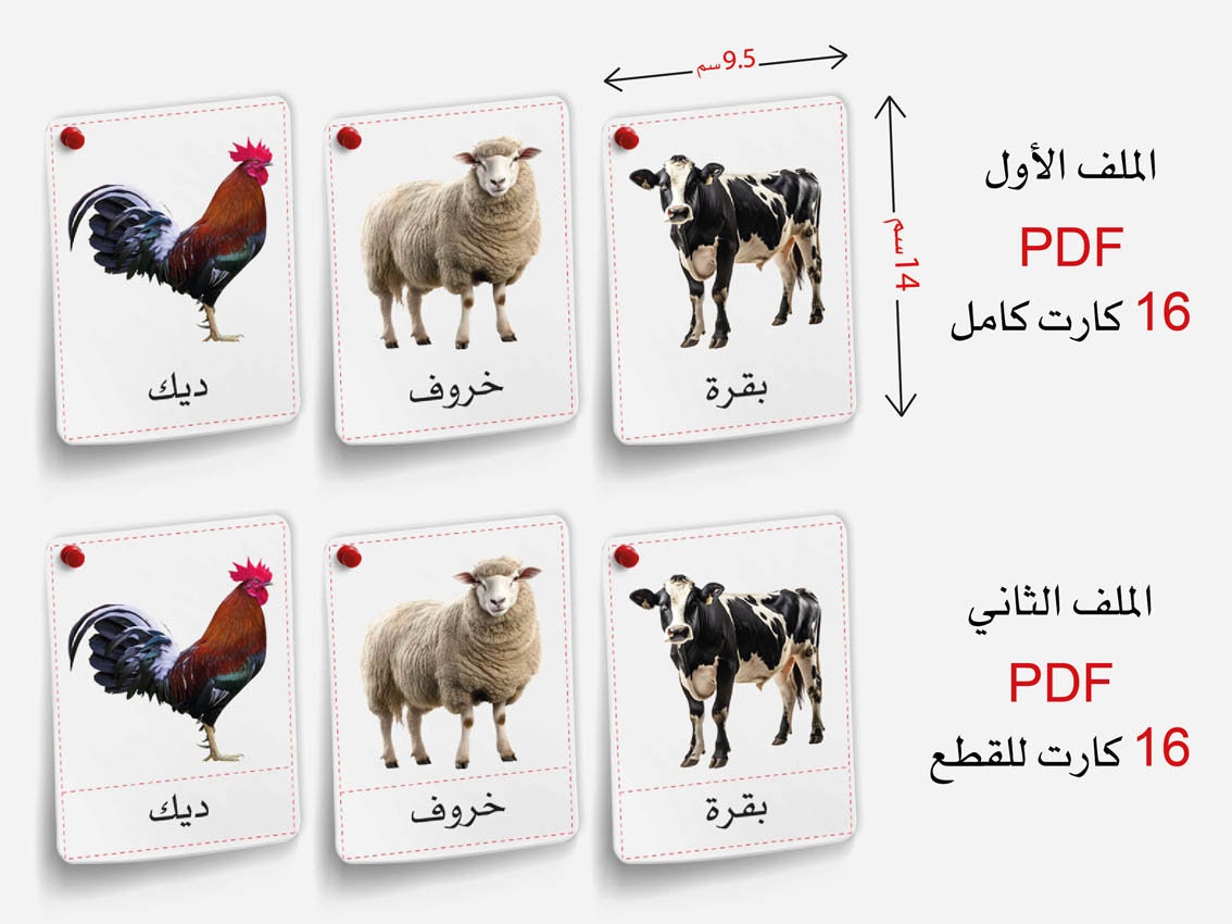 64 Flashcards for Arabic/english Names of Farm Animals real - Etsy