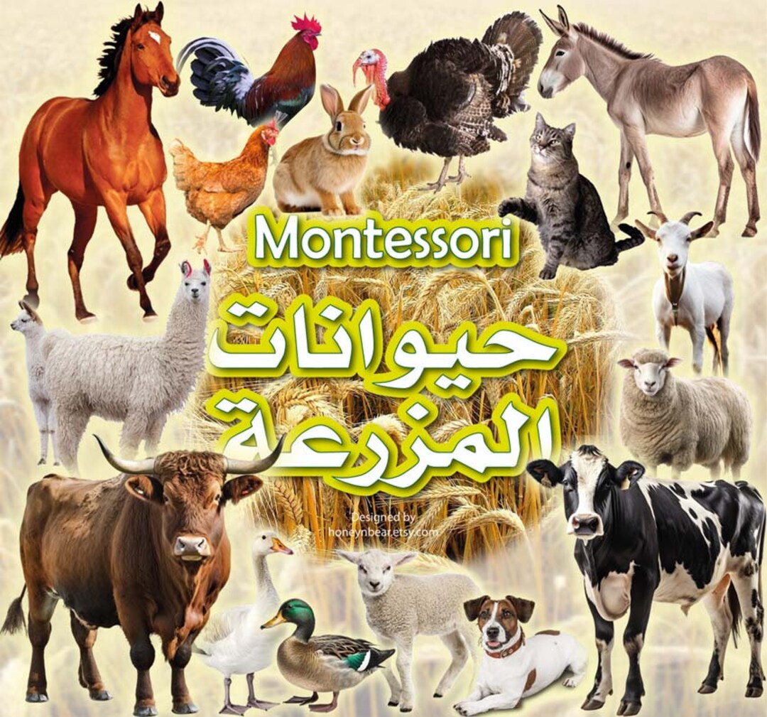 64 Flashcards for Arabic/english Names of Farm Animals real - Etsy