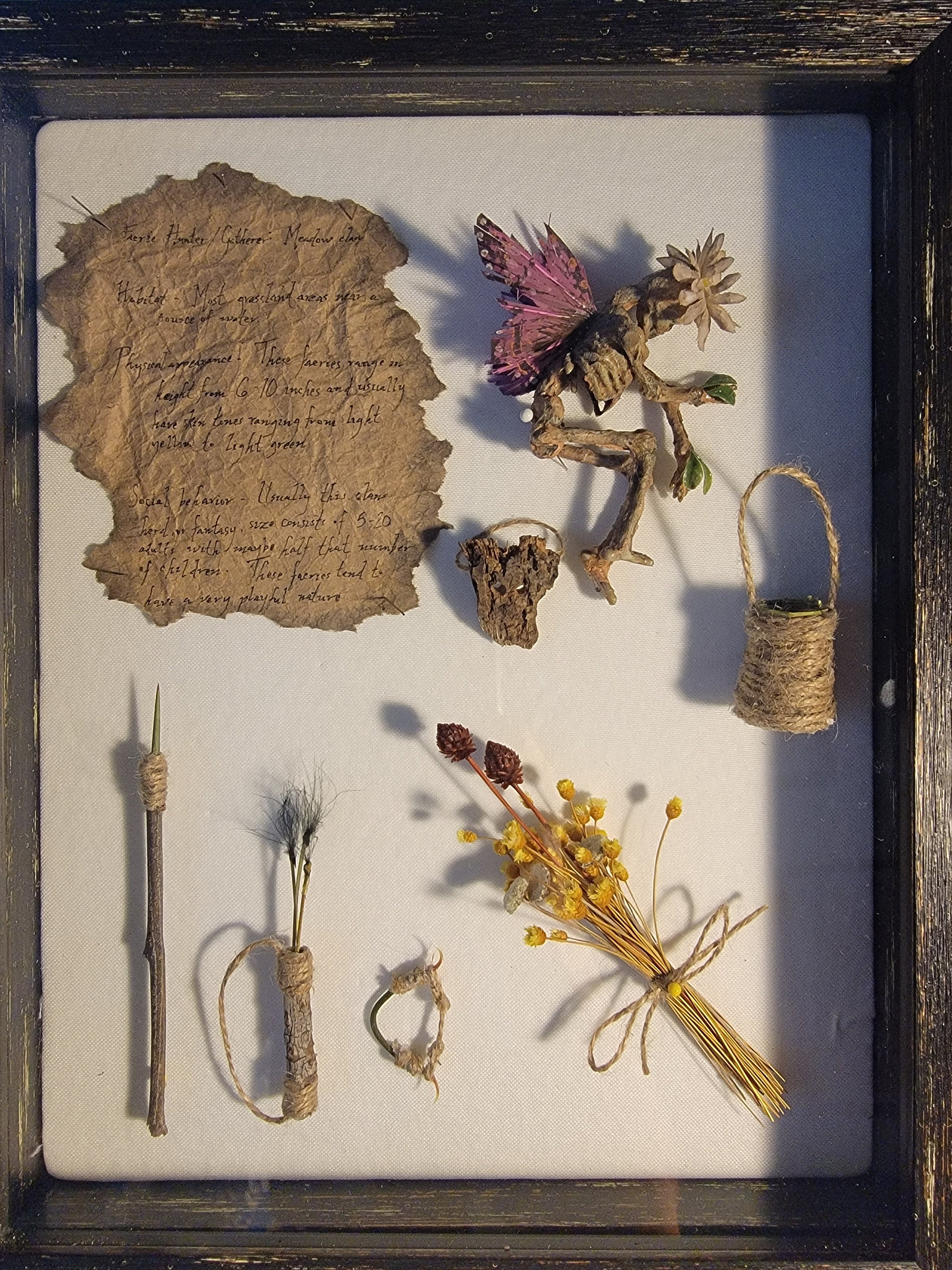 Mummified, Faeries, Fairy, Desiccated, Art, Morbid, Shadowbox, Decor ...
