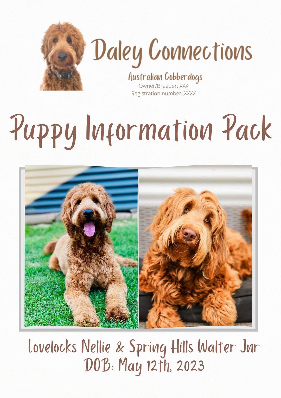 Puppy Information Pack for Beginners - Etsy