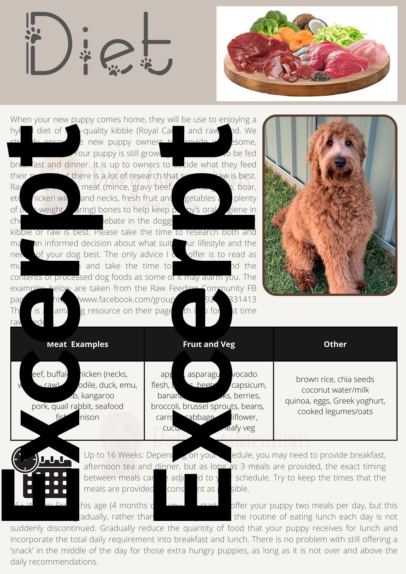 Puppy Information Pack for Beginners - Etsy