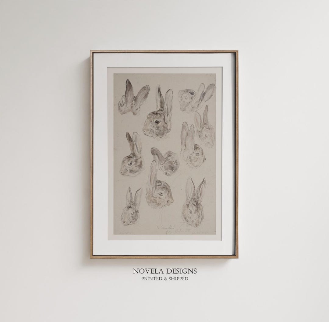 Antique Bunny Rabbit Sketch Poster Woodland Animal Drawing Wall Art ...