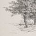 Antique Italian Tree Drawing Print Vintage Sketch Studies Landscape ...