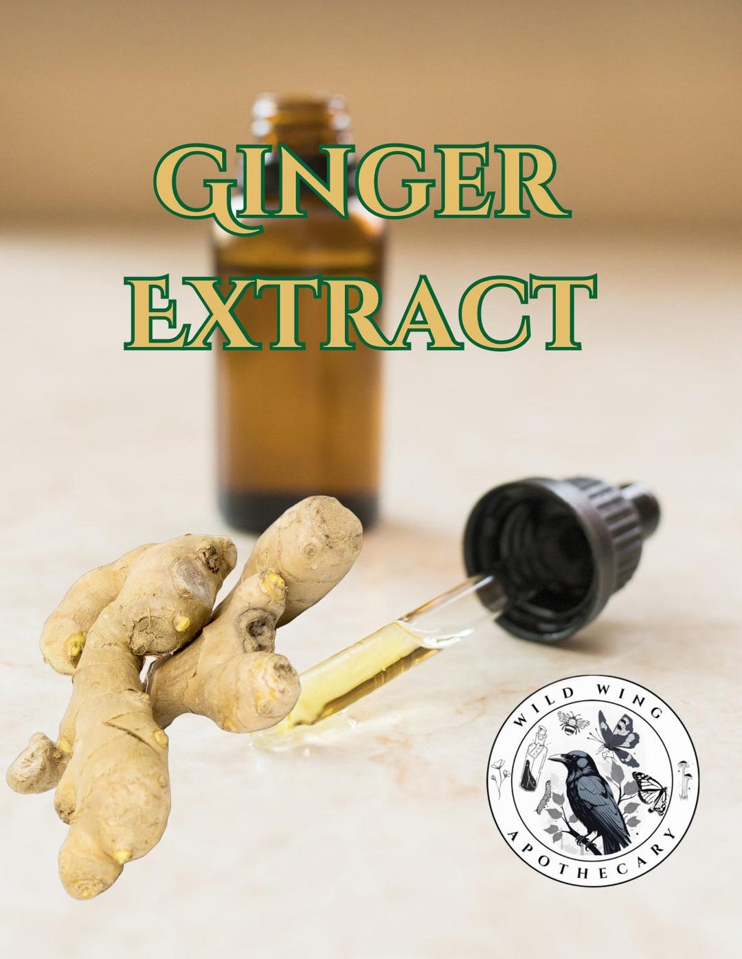 Ginger Root - Fortified Decoction - Dual Extract Tincture - Zingiber ...