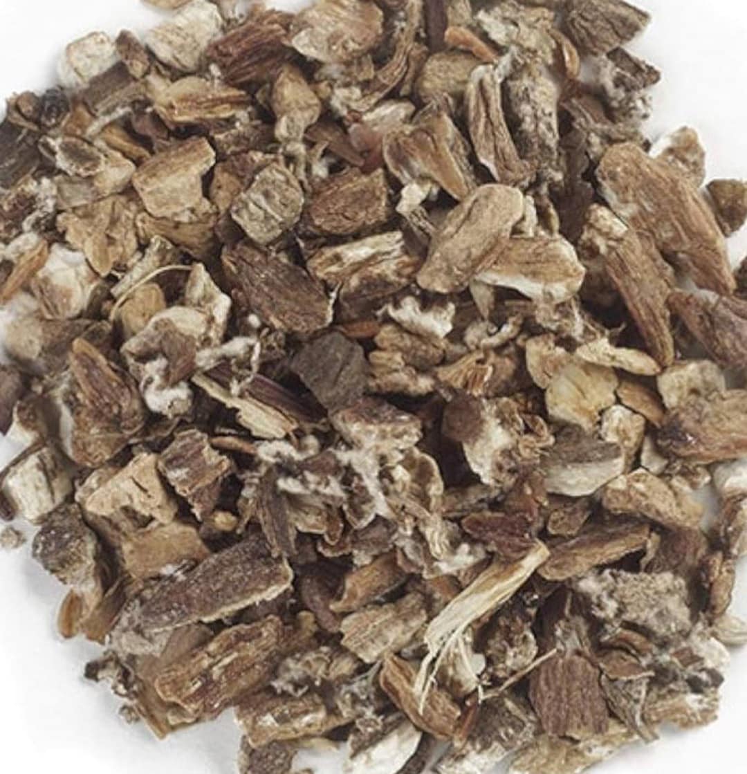 Burdock Root - Fortified Decoction - Dual Extract Tincture - Articum ...