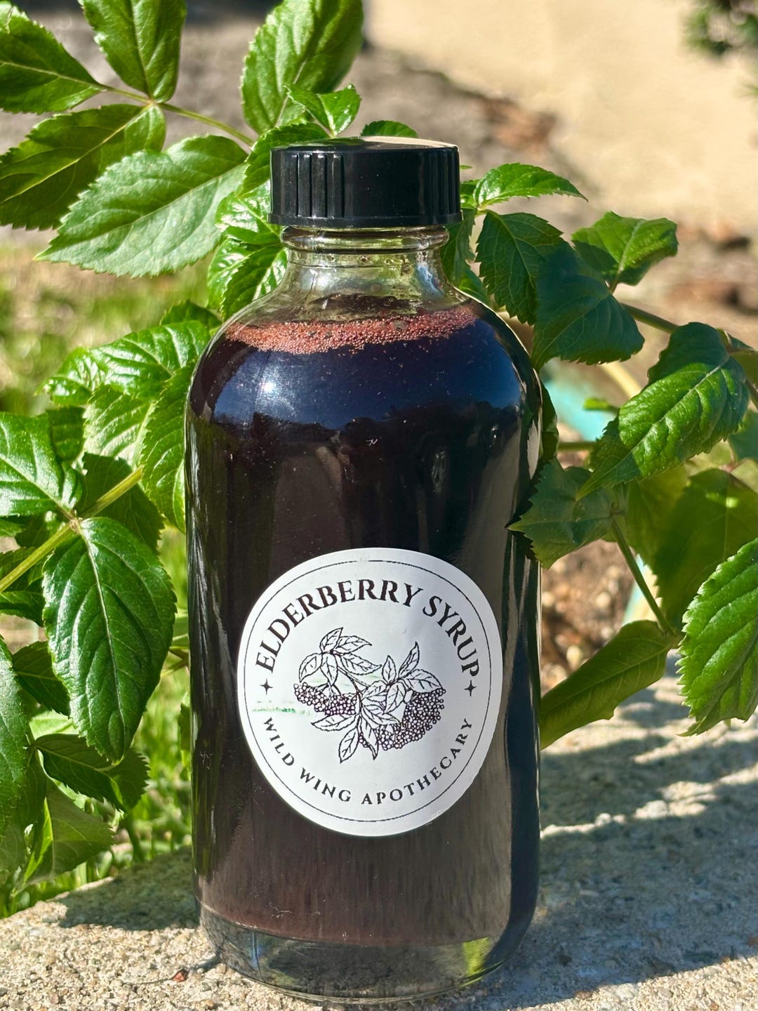 Elderberry Syrup - Sambuca Nigra - Etsy