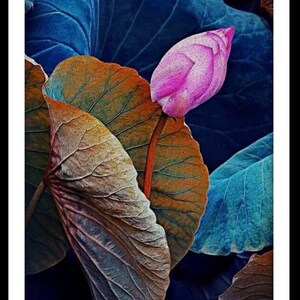 Painting Made From Rice Grains/handmade Roasted Rice Grains/painting ...