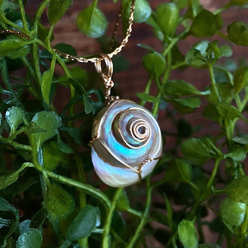 Sea Shell Wire Wrap - Etsy